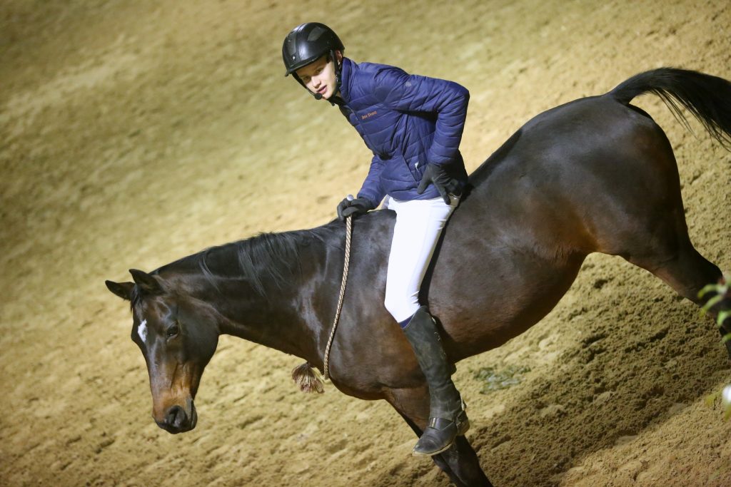 HorseWorldTV – Watch all about horses